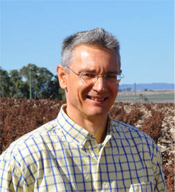 Professor Andrew Borrell – OZ Sorghum